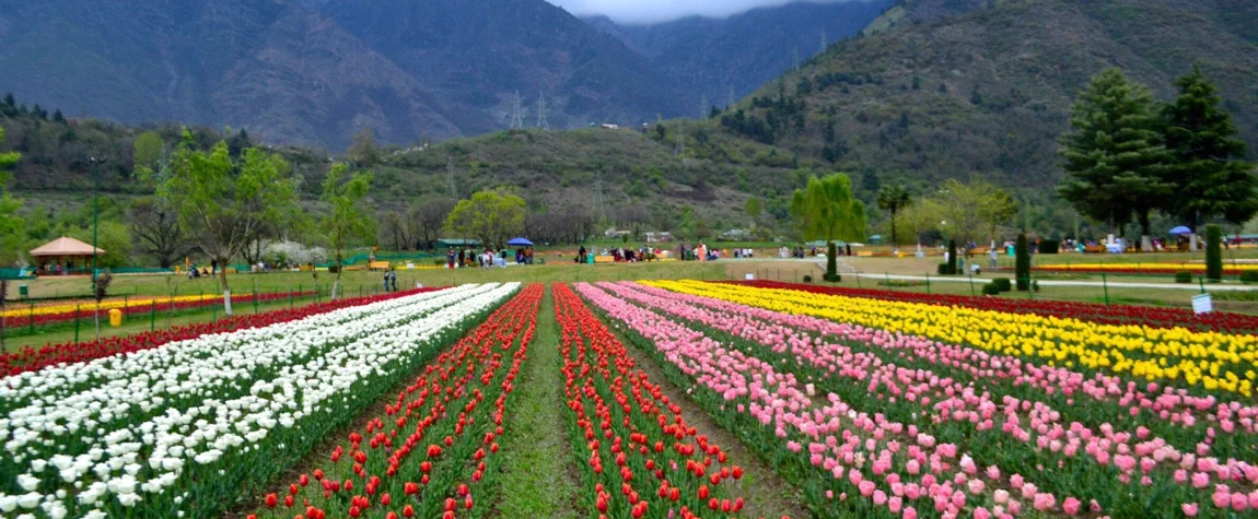 Best Times to Visit Kashmir Based on Season in 2026